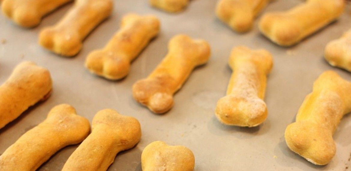 Aprende a Hacer Galletas Caseras para Perros - Herbolario de confianza