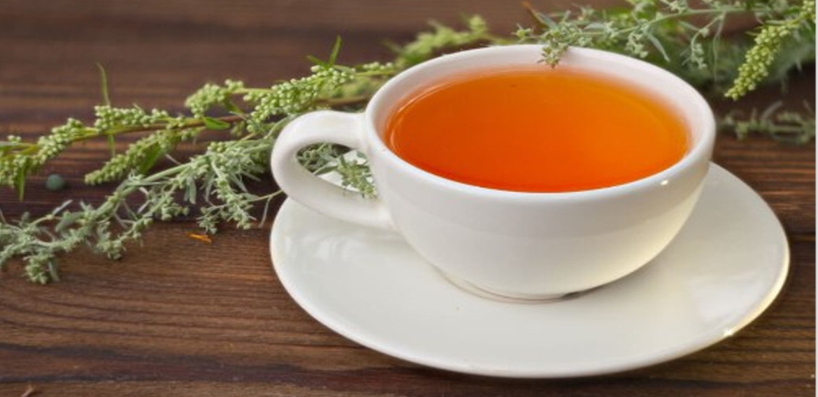 Té de Ajenjo: beneficios digestivos y hepáticos